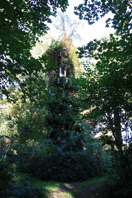 News - Caroline Bittermann