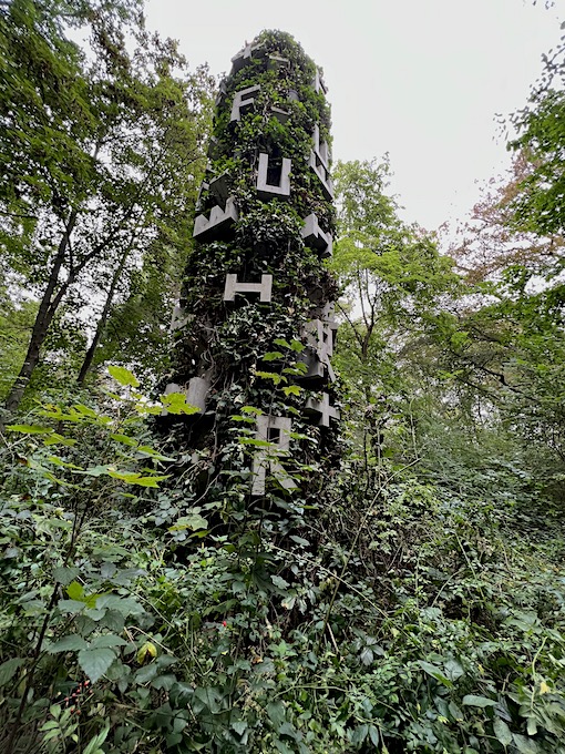 News - Caroline Bittermann