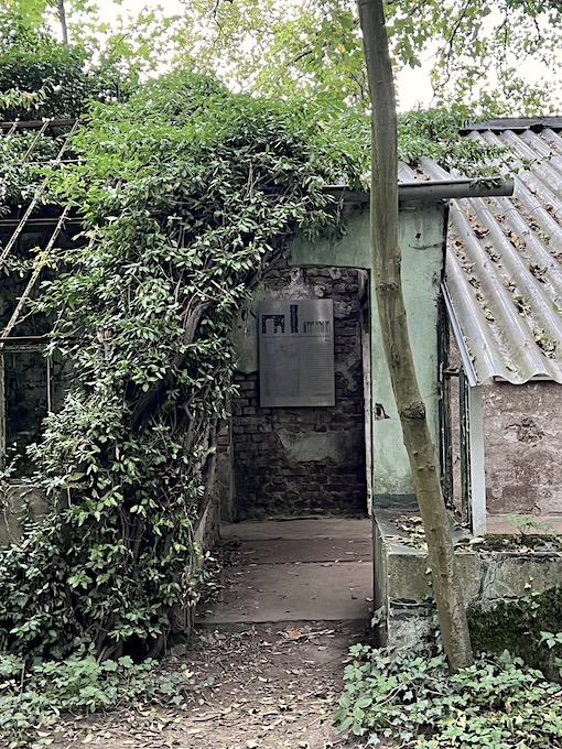 News - Caroline Bittermann