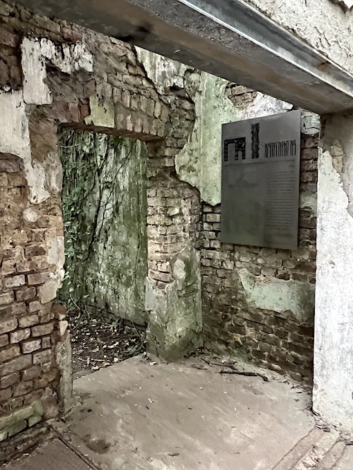 News - Caroline Bittermann