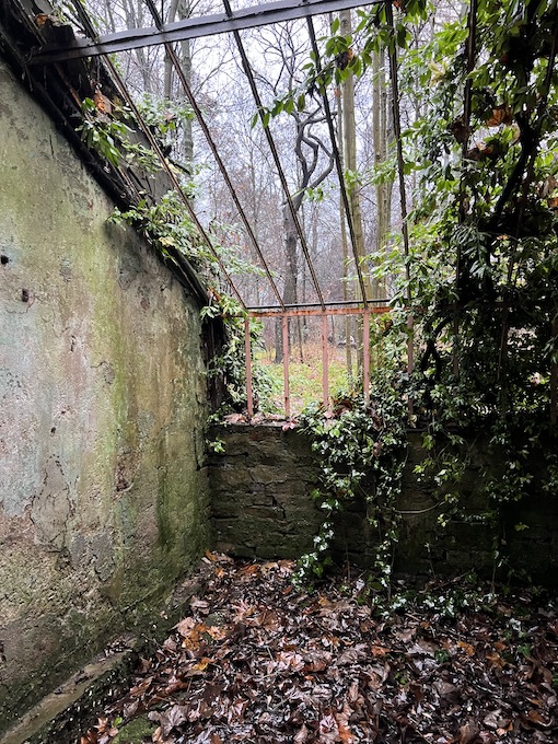 News - Caroline Bittermann