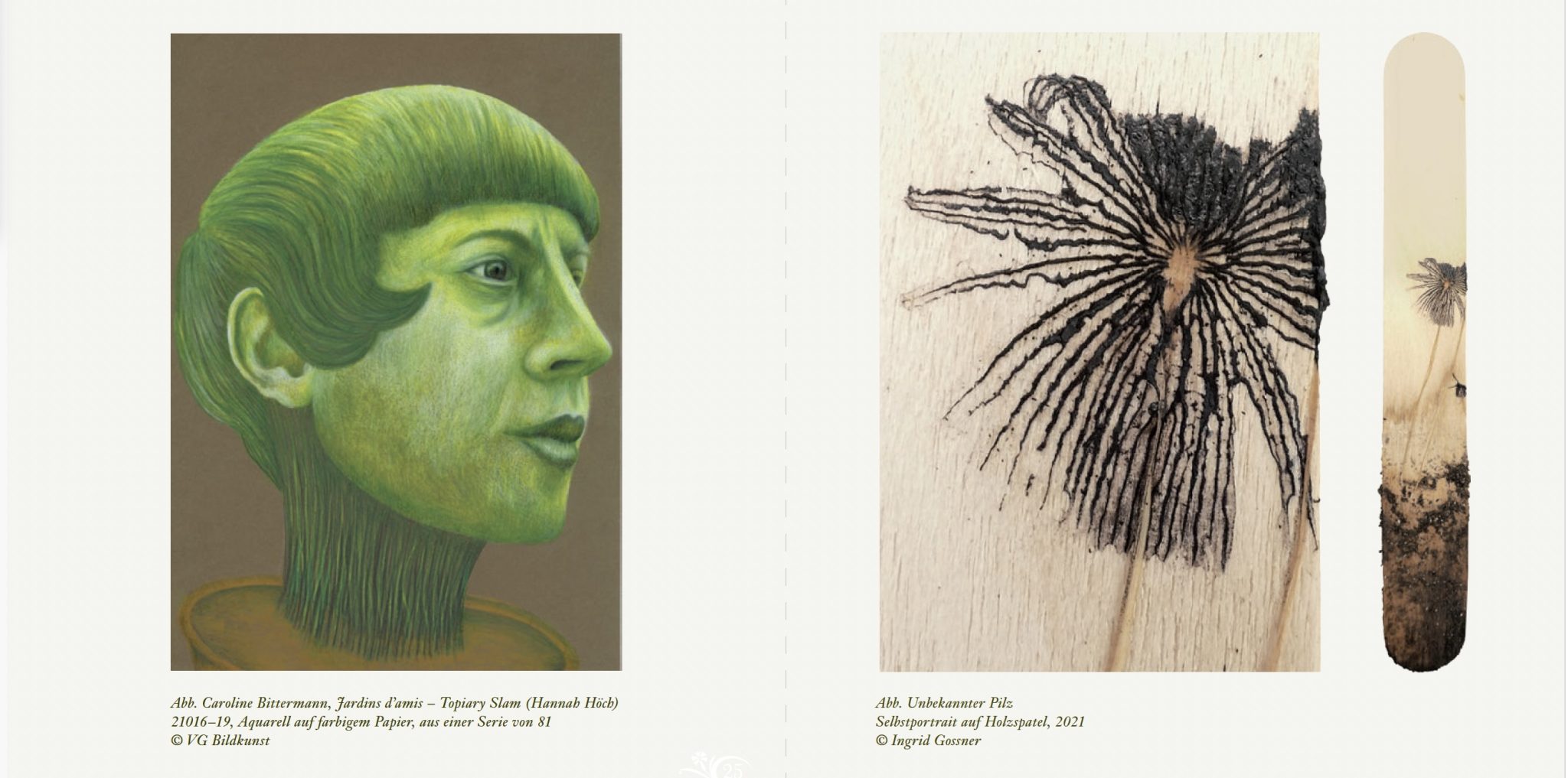 News - Caroline Bittermann